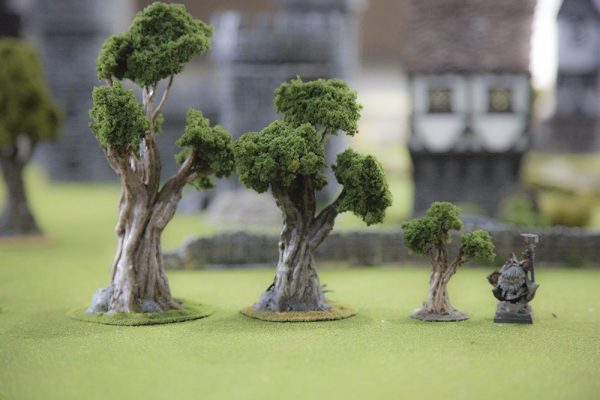 Feywild Cabin - Printable Scenery