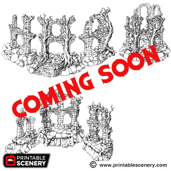 Court of The Shadow King - Printable Scenery