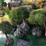 3D Printable Trees for Wargaming, RPGs, And Dioramas - Printable Scenery
