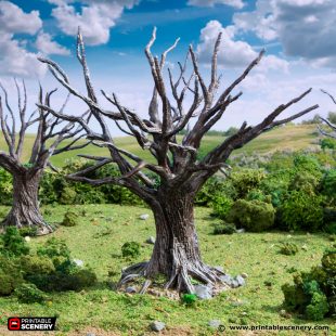 Oak Trees - Printable Scenery