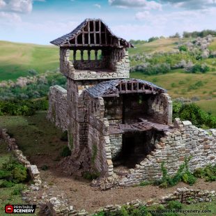 Ruined Kings Quarters Printable Scenery