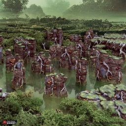 Swamp Grotto Walls - Printable Scenery