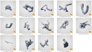 Tree Wizards - Printable Scenery