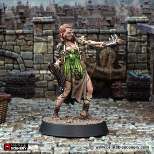 The Pirate Witcher Warband - Printable Scenery